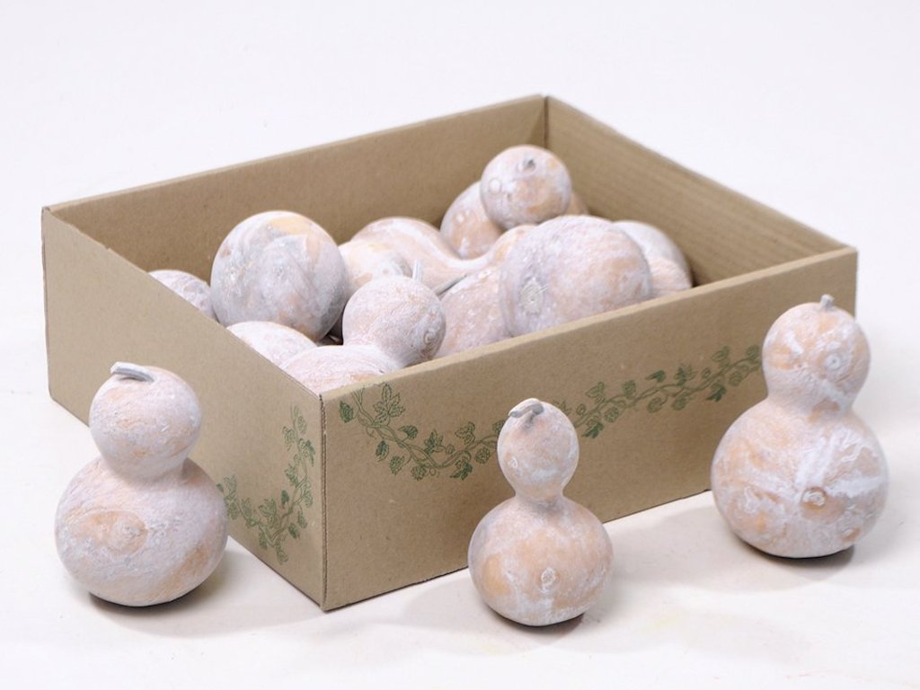 Calabash 10-14cm 15-Pack White-Wash | Decofleur
