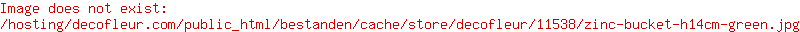 Zinc Bucket H14cm Green | Decofleur