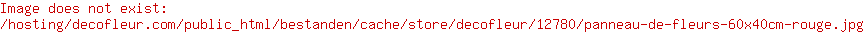 Panneau de fleurs 60x40cm Rouge | Decofleur