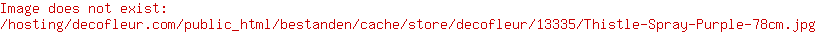 Thistle Spray Purple 78cm | Decofleur