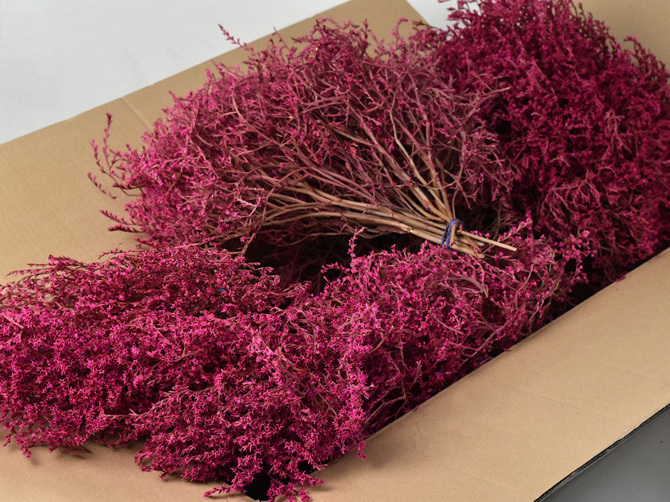 Statice Tatarica Roze 1,5Kg | Decofleur