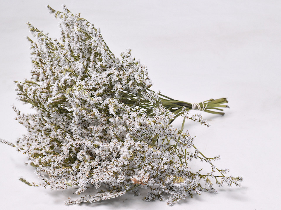 Statice Tatarica 40cm 5pcs. | Decofleur
