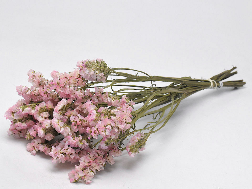 Statice Sinuata Soft Pink | Decofleur