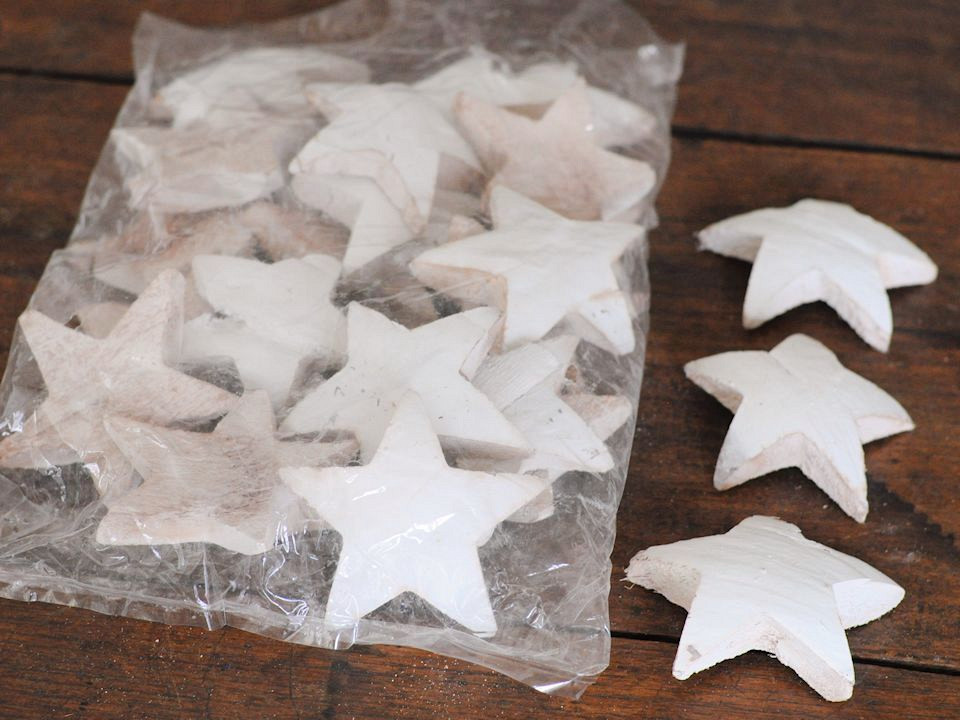 Coconut Star 12cm white 25pcs | Decofleur