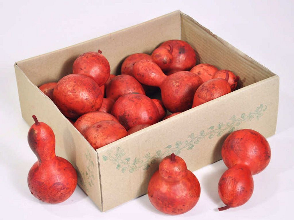 Calabash 10-14cm 15-Pack red | Decofleur