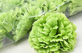 V & V Decofleur B.V.