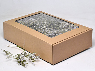 Statice Tatarica 500gr. Showbox | Decofleur