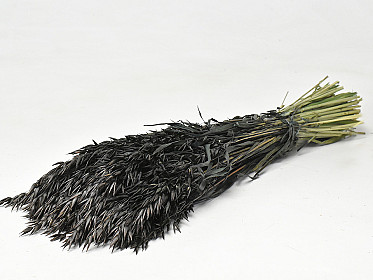 Bouquet Avoine Noir 70cm | Decofleur