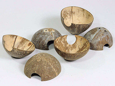 Coconut Shell Pot | Decofleur