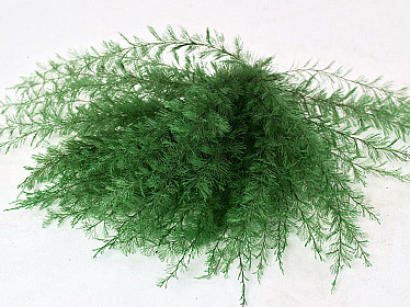 Air Fern Olive Green 15cm 5-Pack | Decofleur